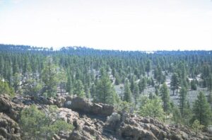 7 Tantalizing Stories of Lost Treasure in Oregon - OldWest