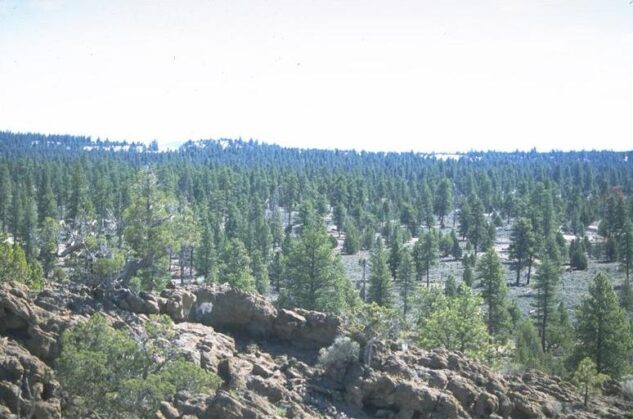 7 Tantalizing Stories of Lost Treasure in Oregon - OldWest