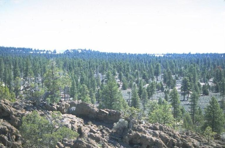 7 Tantalizing Stories of Lost Treasure in Oregon - OldWest