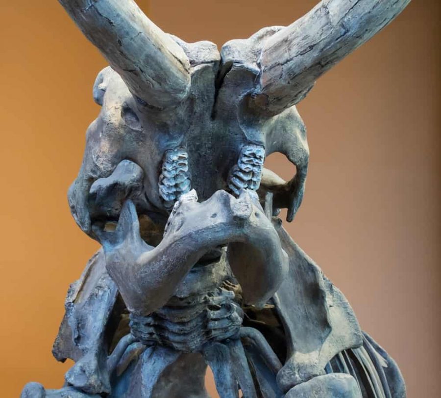 10 Native American Mythical Creatures, from Thunderbirds to Skinwalkers ...